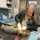 All Small Creatures Mobile Vet ~ About Us